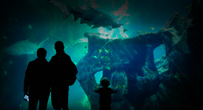 Accueil - Aquarium La Rochelle